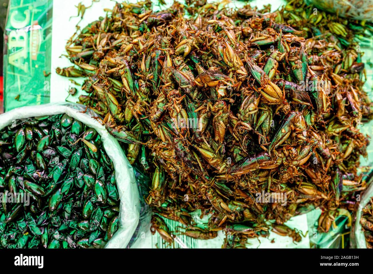 Urban insects hi-res stock photography and images - Alamy