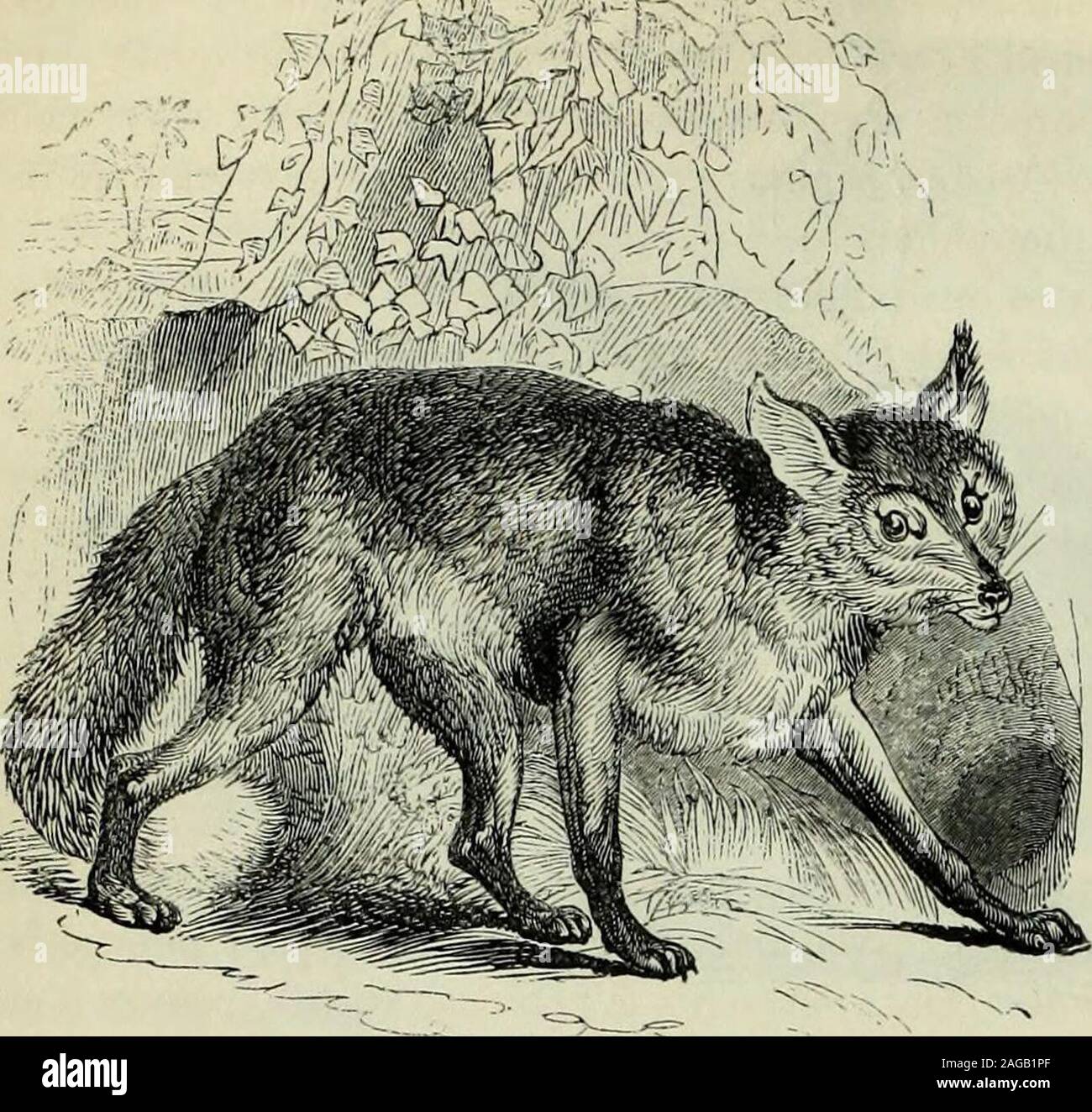 Smiths geography hi-res stock photography and images - Alamy