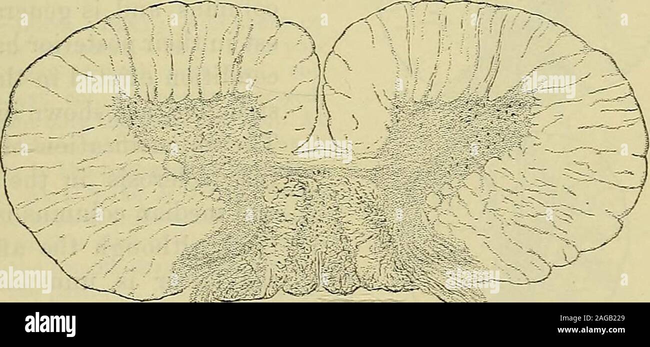 External columns hi-res stock photography and images - Alamy