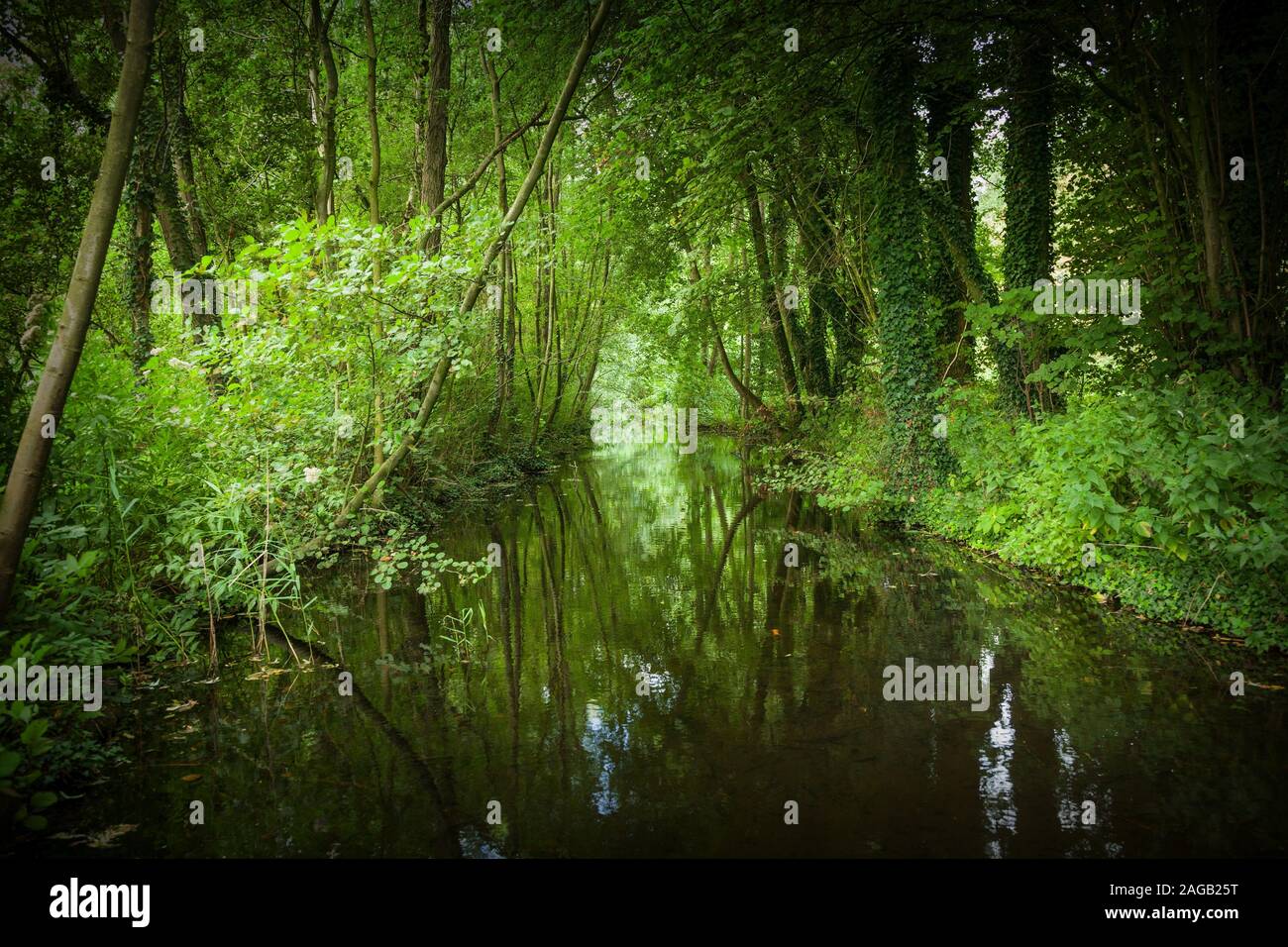 Kralingse park hi-res stock photography and images - Alamy
