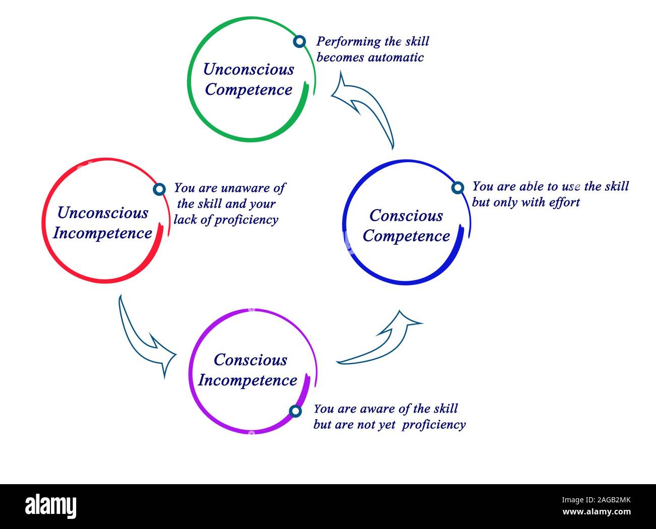 Competence and incompetence Stock Photo - Alamy