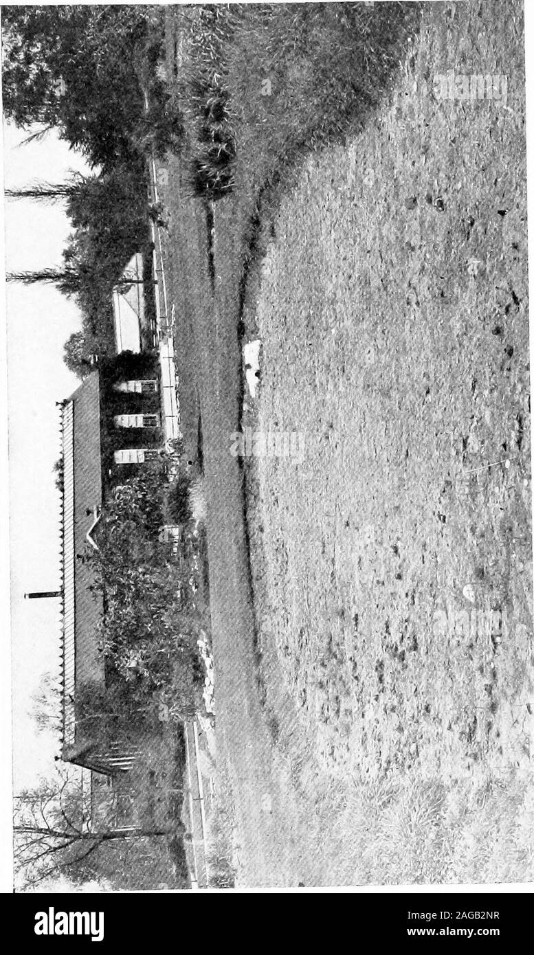 Puddling pond hi-res stock photography and images - Alamy