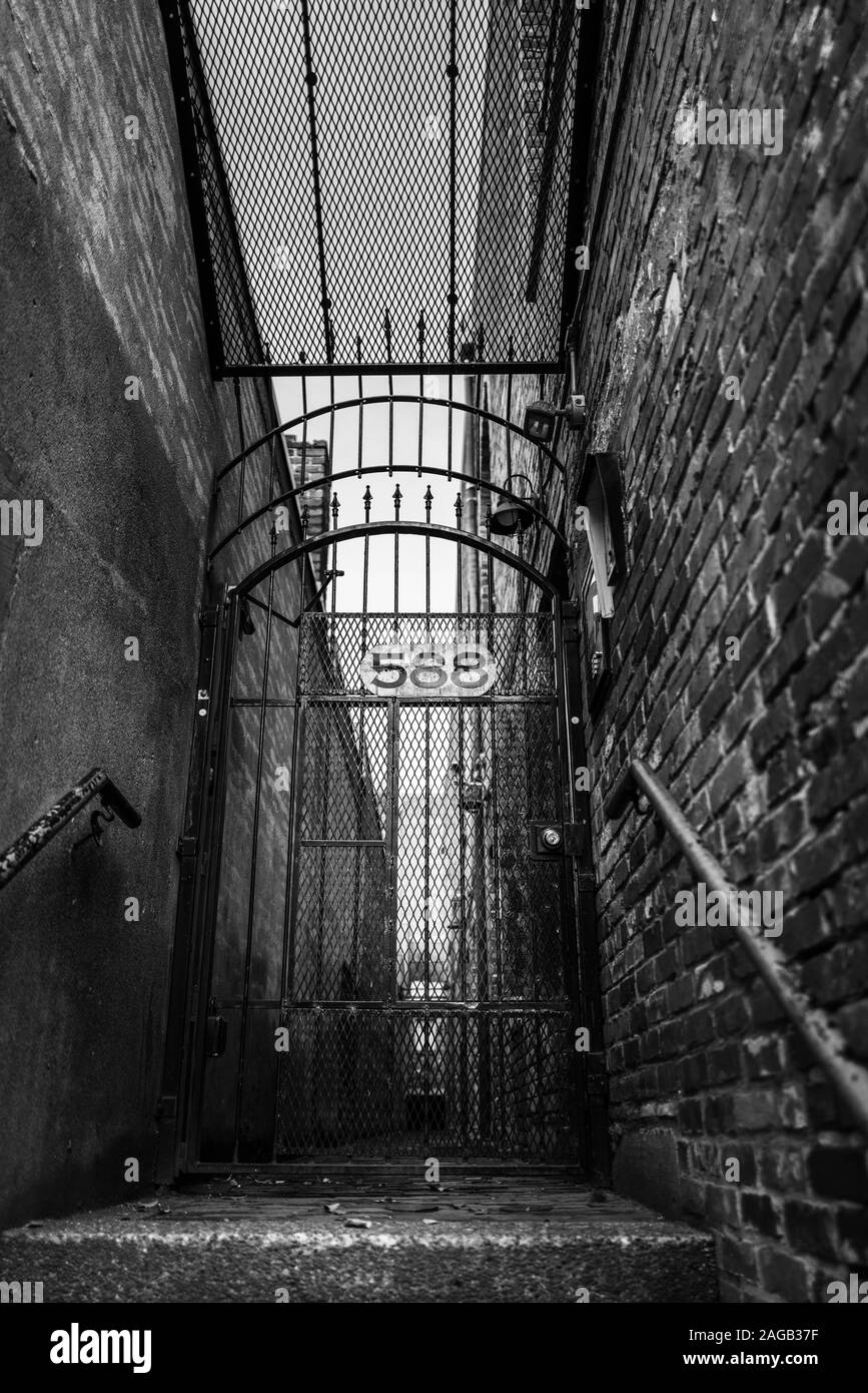 A vertical grayscale shot of a metal gate in a secret corner of the ...