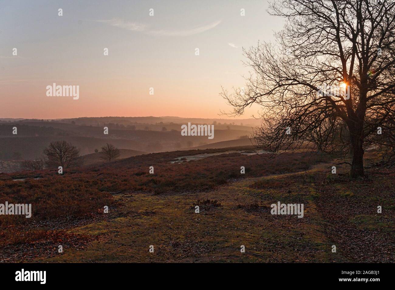 A breathtaking sunset over hills in National Park De Hoge Veluwe in The ...