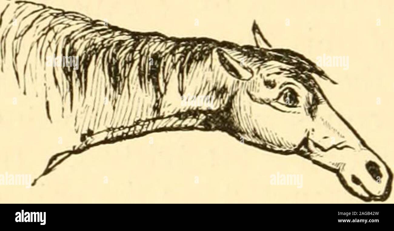 Foot tapping hi-res stock photography and images - Alamy