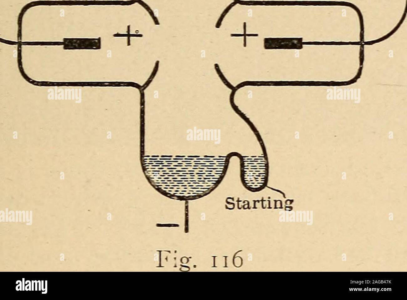 Life cycle of a bulb hi-res stock photography and images - Alamy