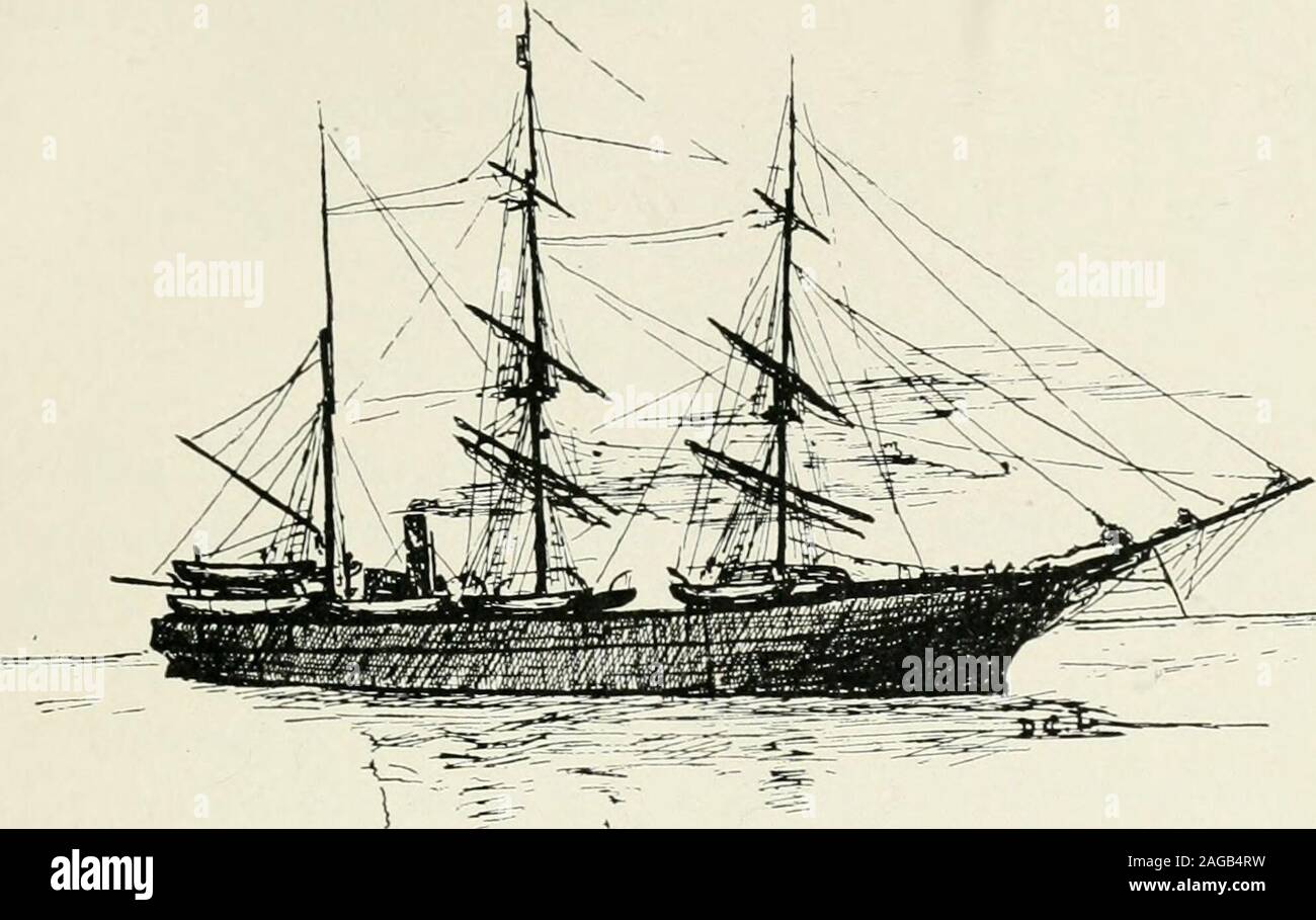 Newfoundland seal catch hi-res stock photography and images - Alamy