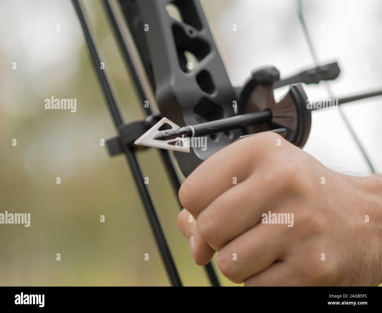 Close-up of a male hand holding a bow and a sharp arrowhead. Bow ...