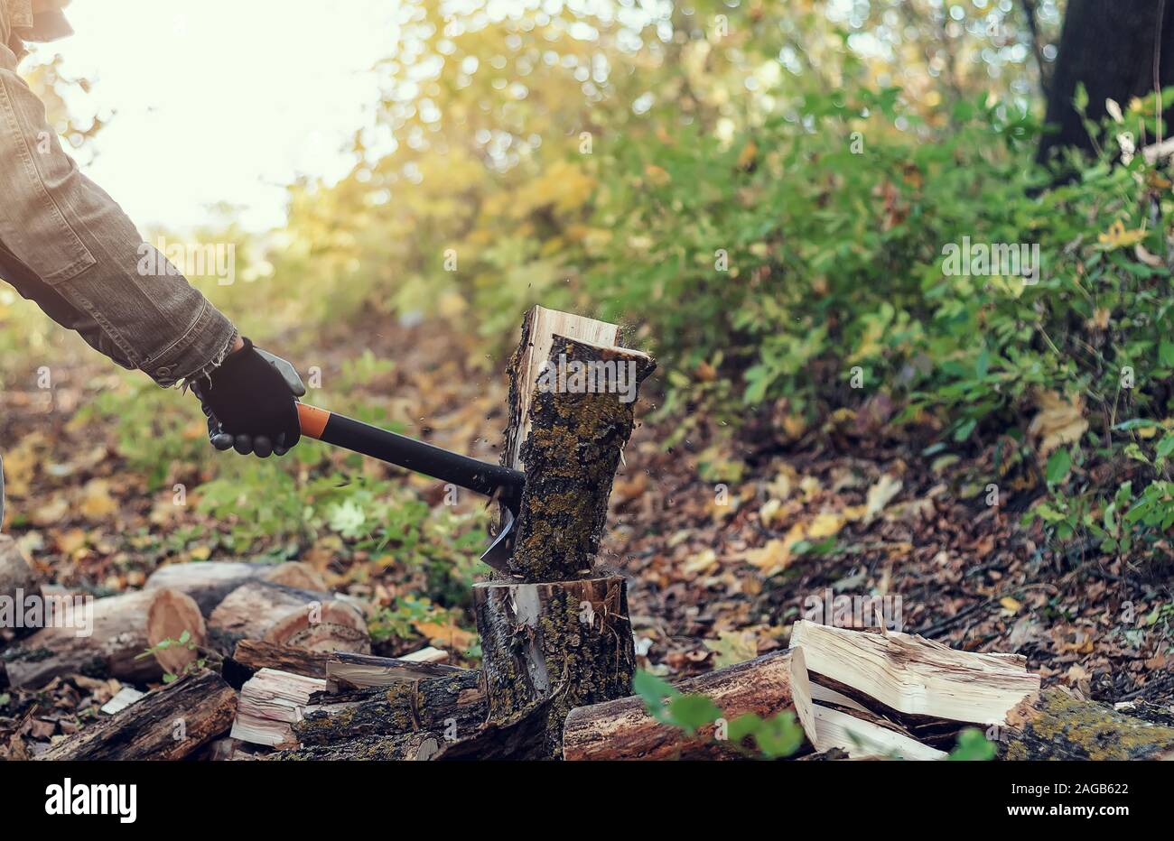 Man cuts a log with an industrial ax. Parts of the tree fly apart. A ...