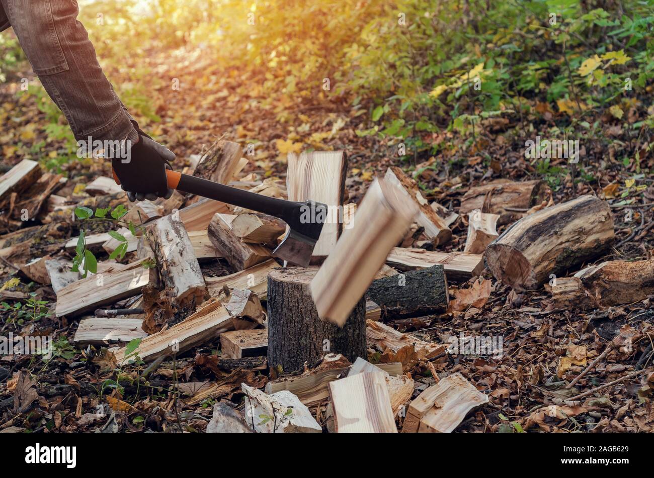 Man cuts a log with an industrial ax. Parts of the tree fly apart. A ...
