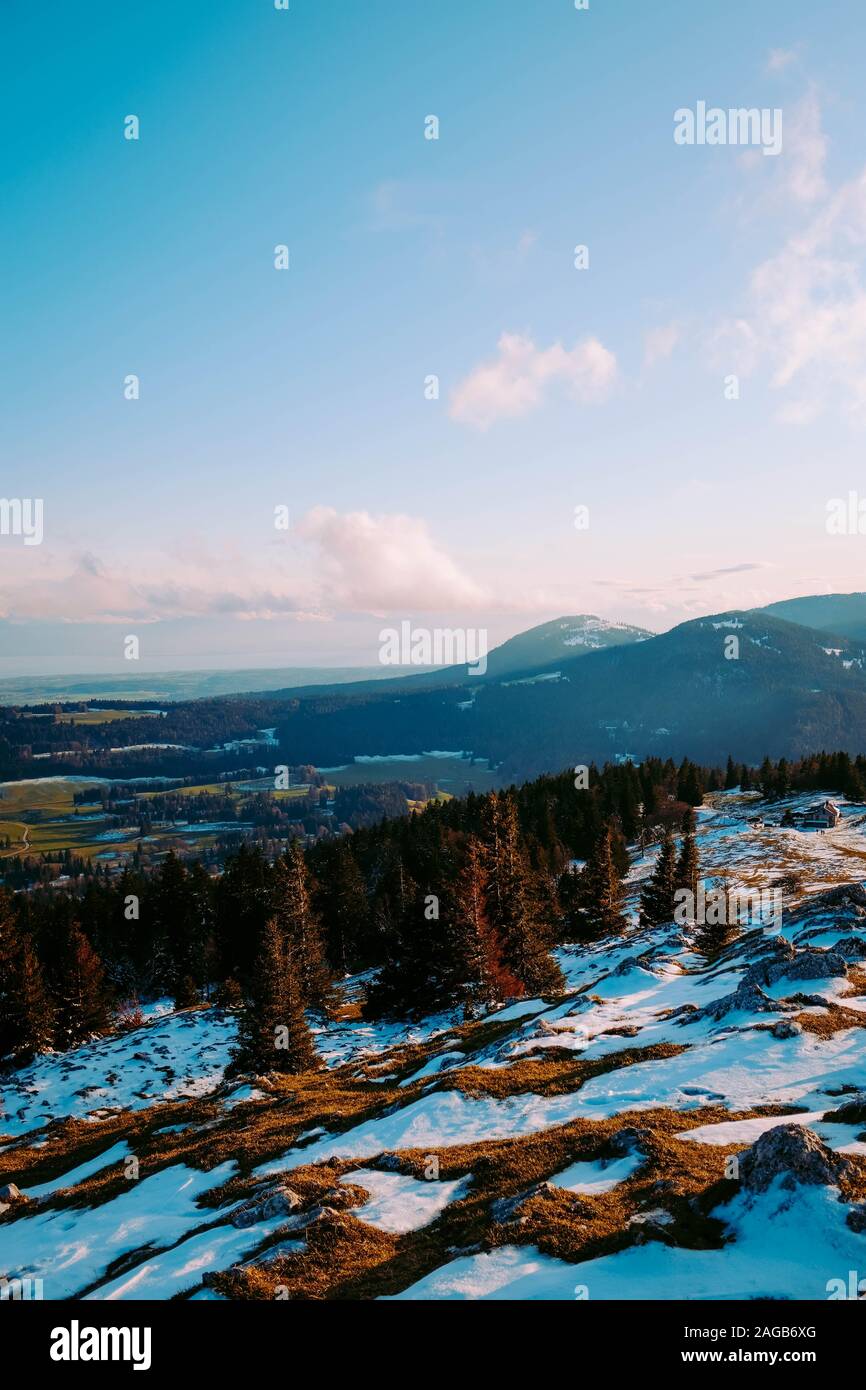 Vertical shot of the trees on a snow covered hill with the mountains in ...