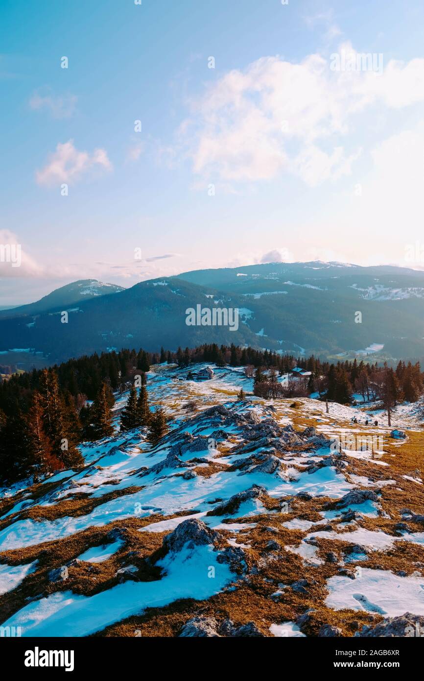 Vertical shot of the trees on a snow covered hill with the mountains in ...