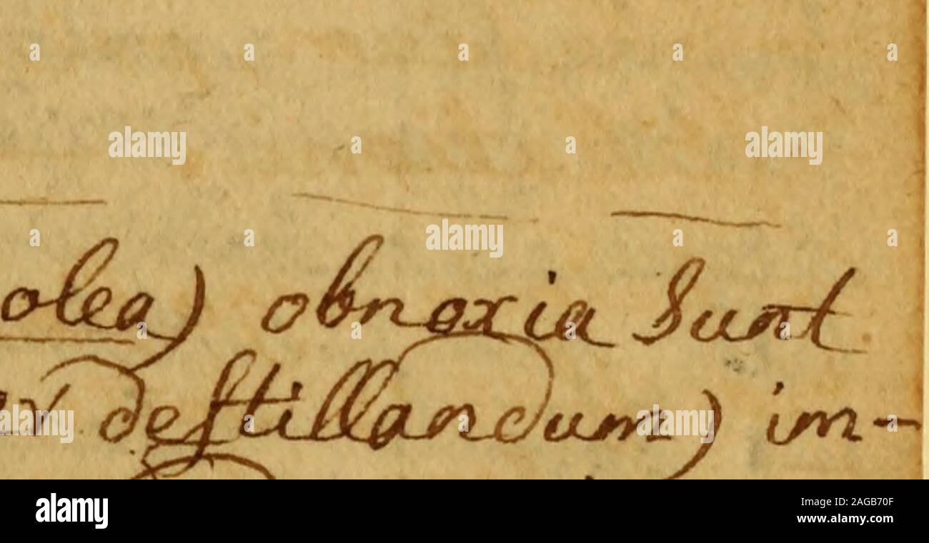 . Osborn's notebooks [manuscript]. ton 0 UJYL. ^T^LV^O^ Stock Photo - Alamy