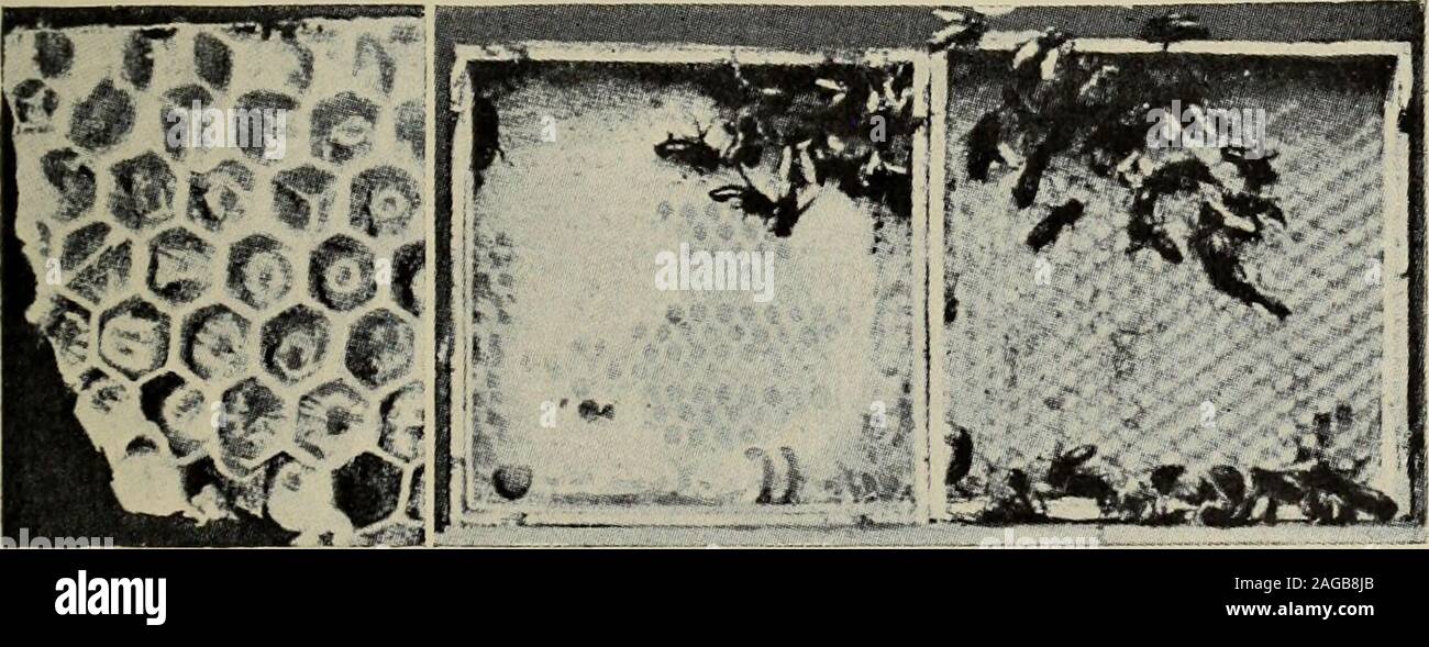 Dd dnd d1 hi-res stock photography and images - Alamy