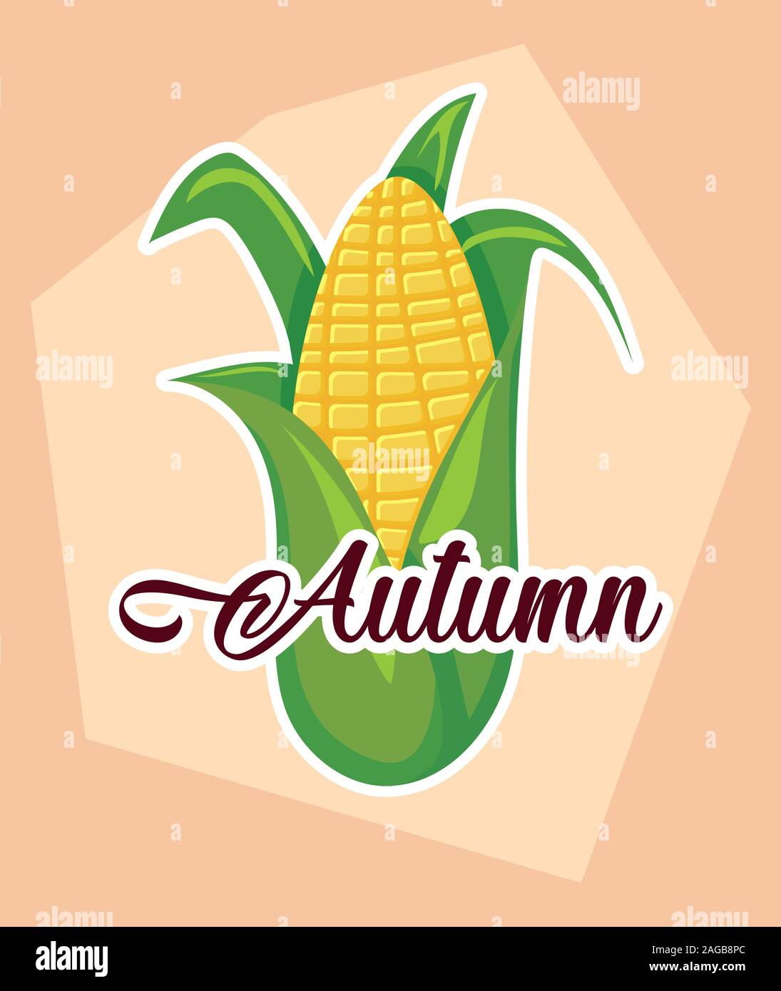 Corn design, Autumn season nature ornament garden decoration and ...