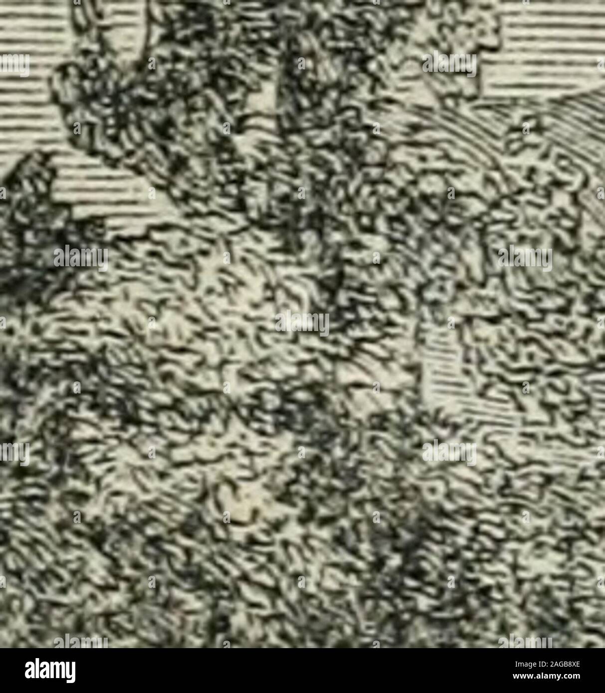 . Pictorial history of China and India; comprising a description of ...