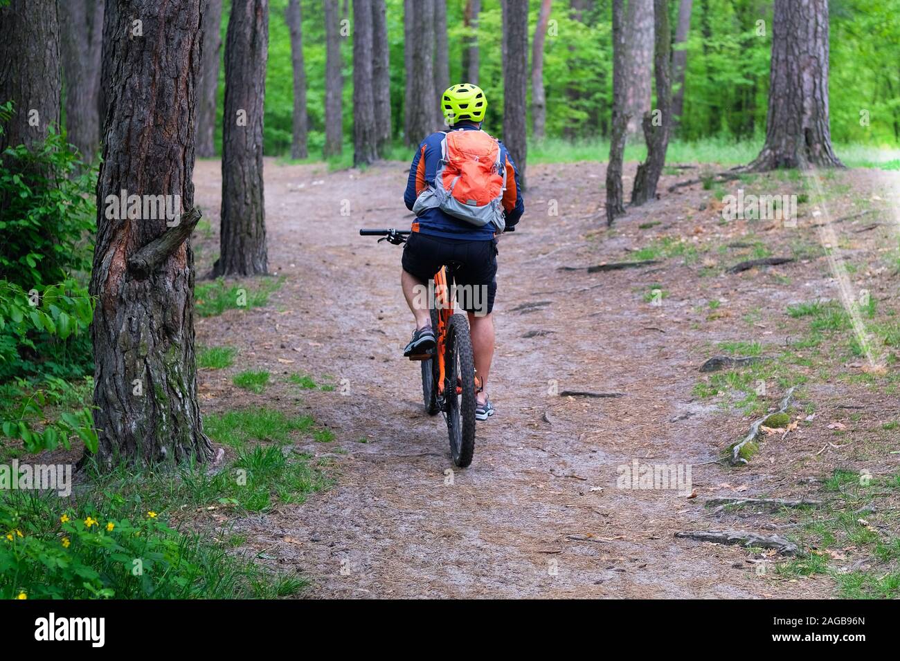 Bike ride in the forest hi-res stock photography and images - Alamy