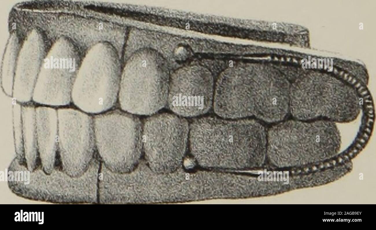 . The anatomy, physiology and pathology of the human teeth : with the ...