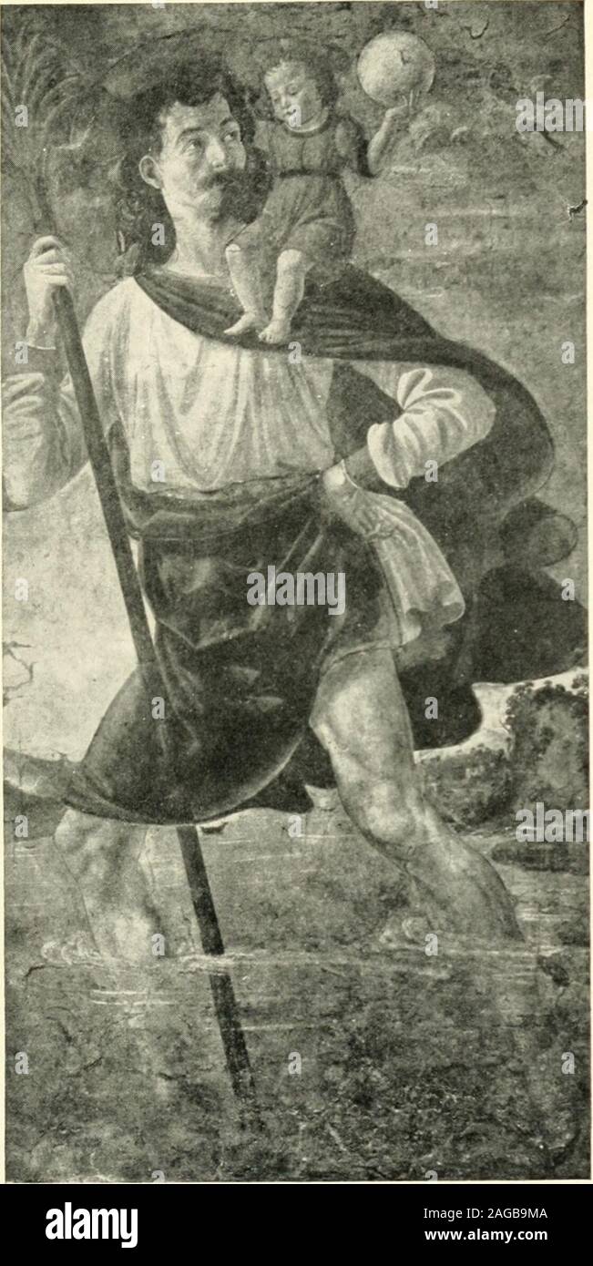 The ished tree hi-res stock photography and images - Alamy