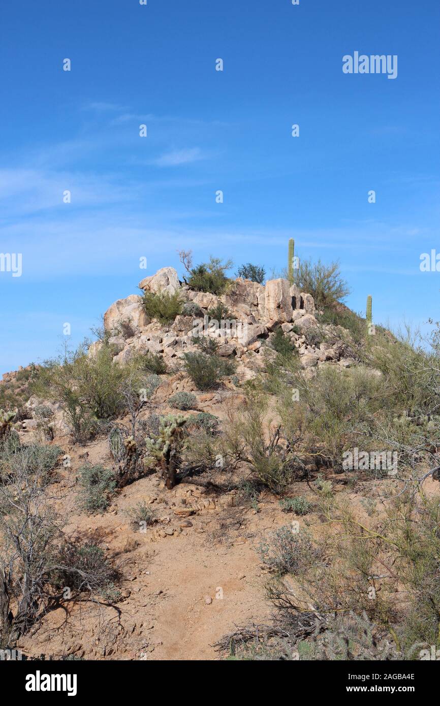 A rocky hillside atop the Valley View Outlook covered with desert ...