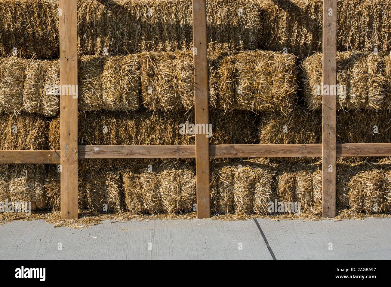 Harvesting in agriculture bales of hay are stacked in large stacks ...