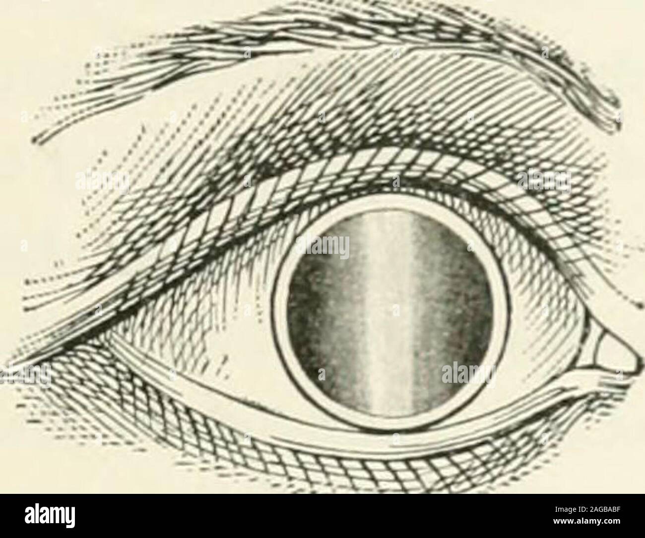 Rule fitting hi-res stock photography and images - Alamy