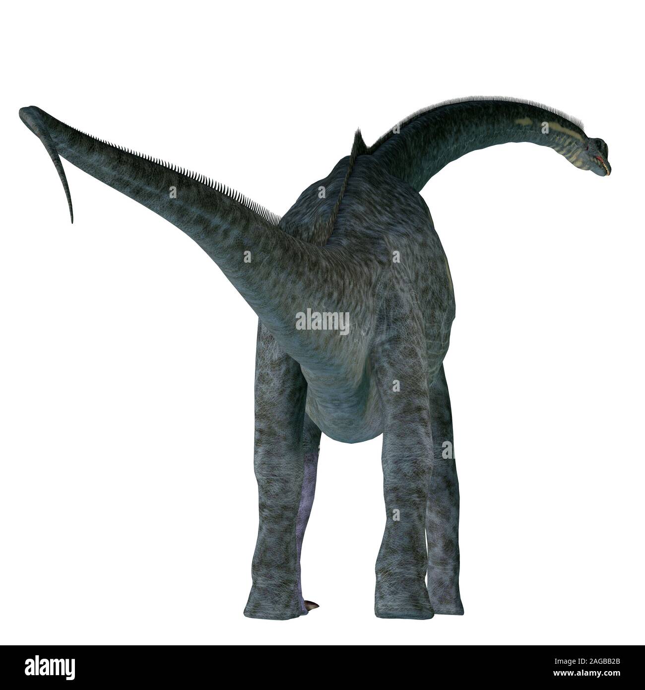 Sauroposeidon hi-res stock photography and images - Alamy