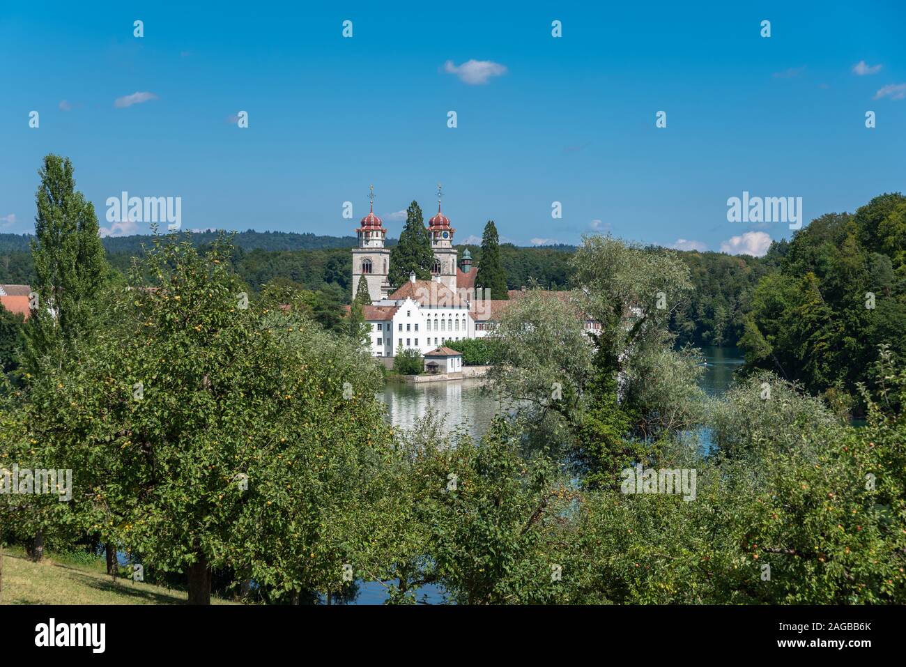 Landscape with the Rhine river and Monastery Island, Rheinau, Canton ...
