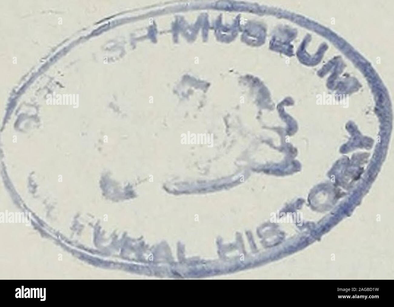 . Bergens Museum årbok. Kirche von Hammer Stock Photo - Alamy