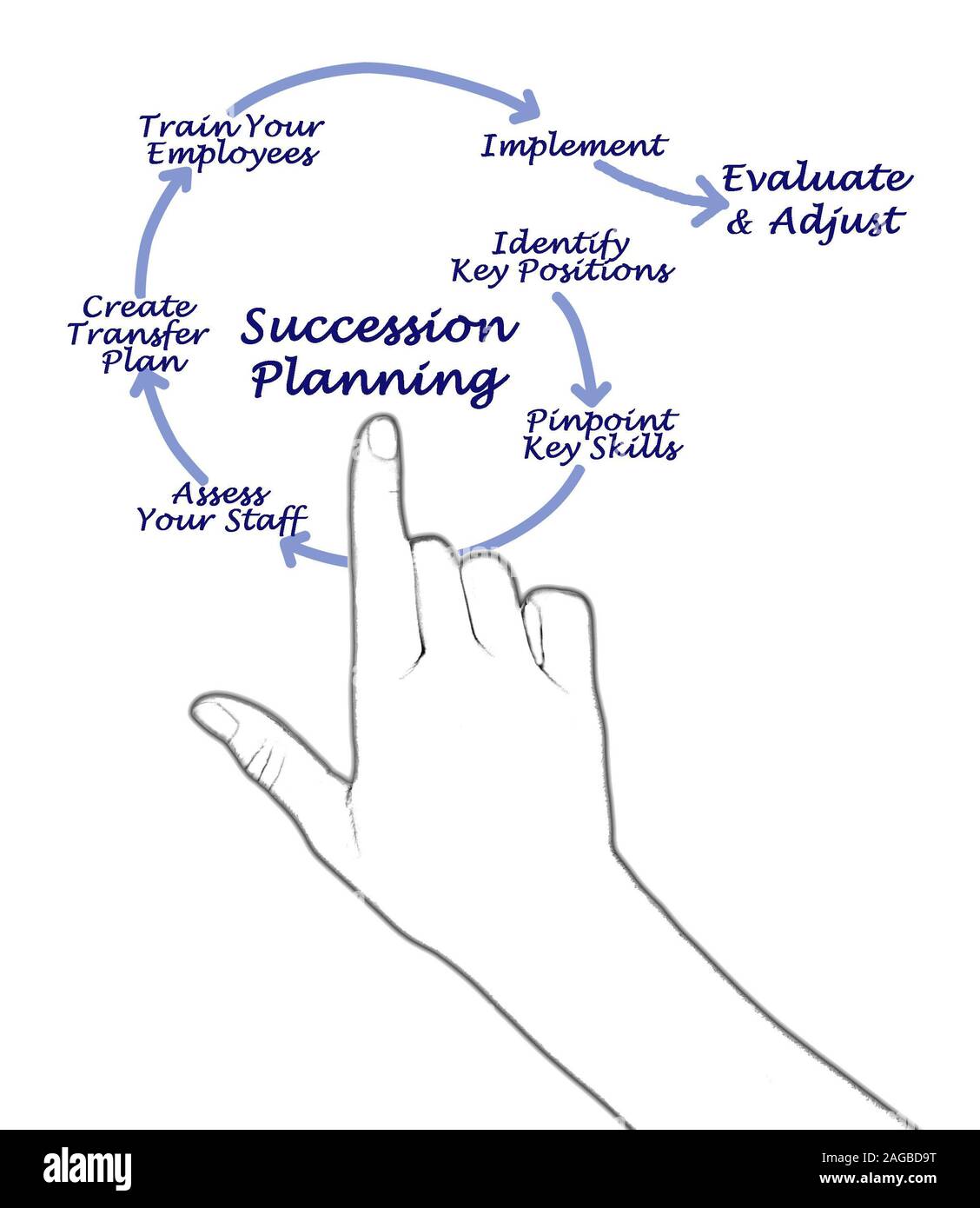 Succession Planning for successful succession Stock Photo - Alamy