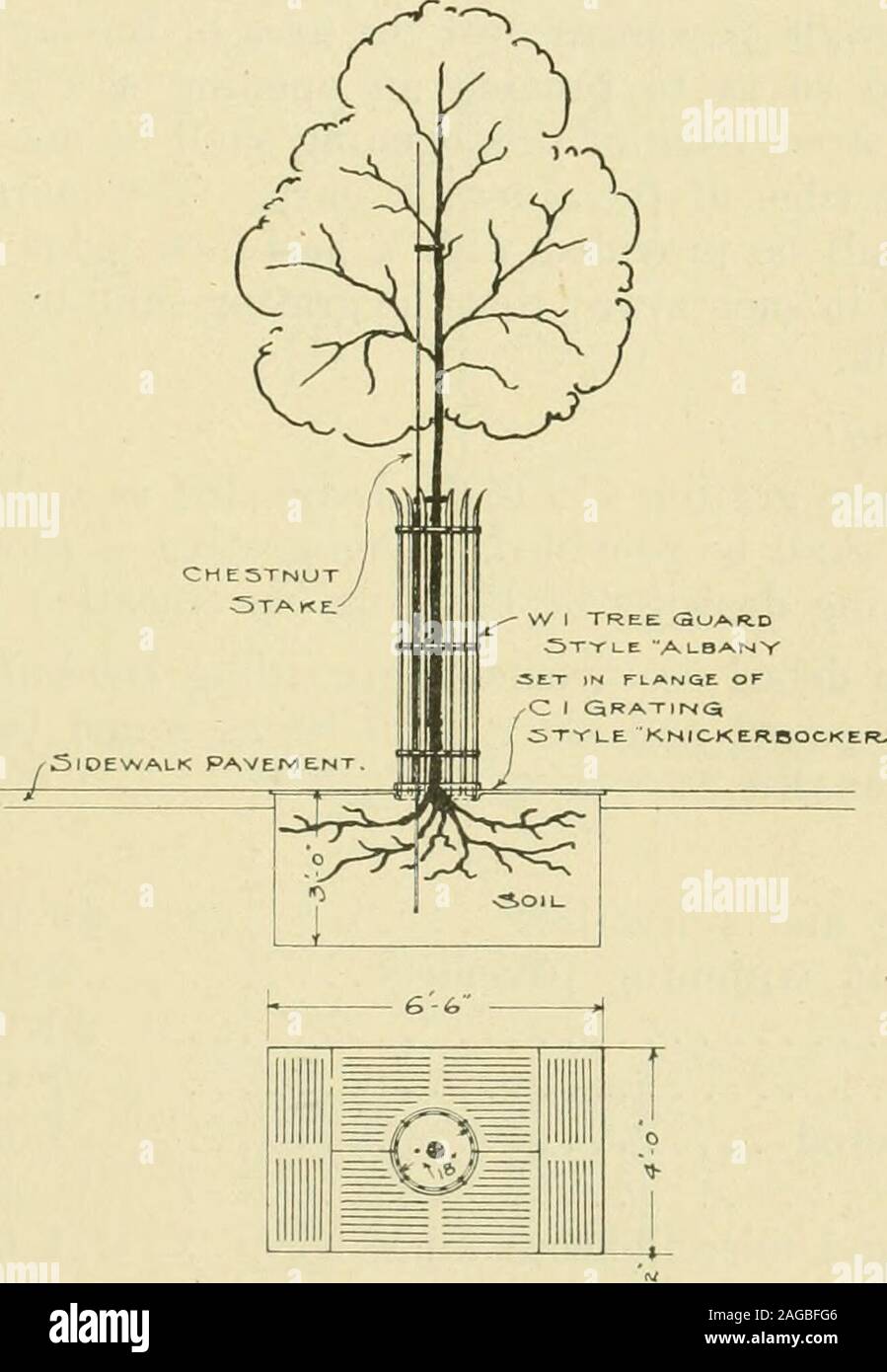 . A street tree system for New York City, borough of Manhattan ...
