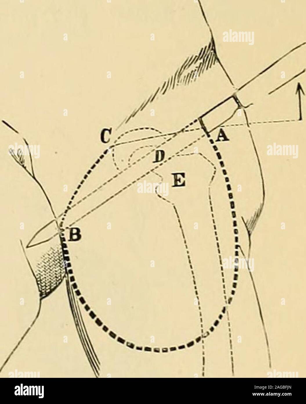 Five flaps hi-res stock photography and images - Alamy