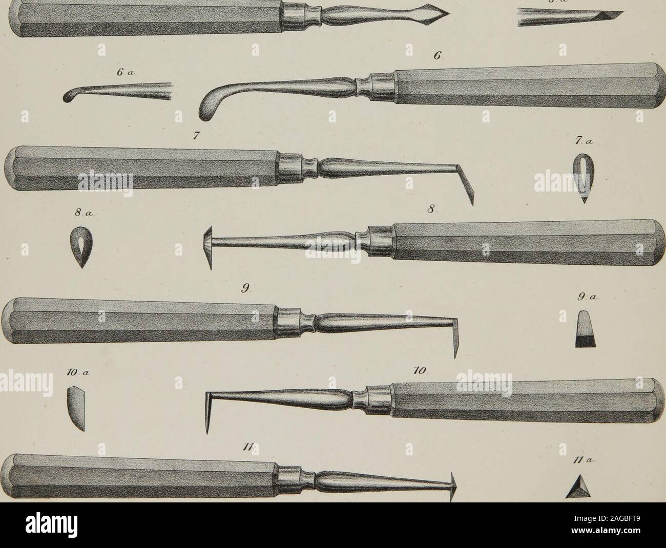 . The anatomy, physiology and pathology of the human teeth : with the ...