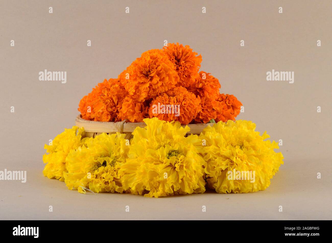 Zendu flower hi-res stock photography and images - Alamy