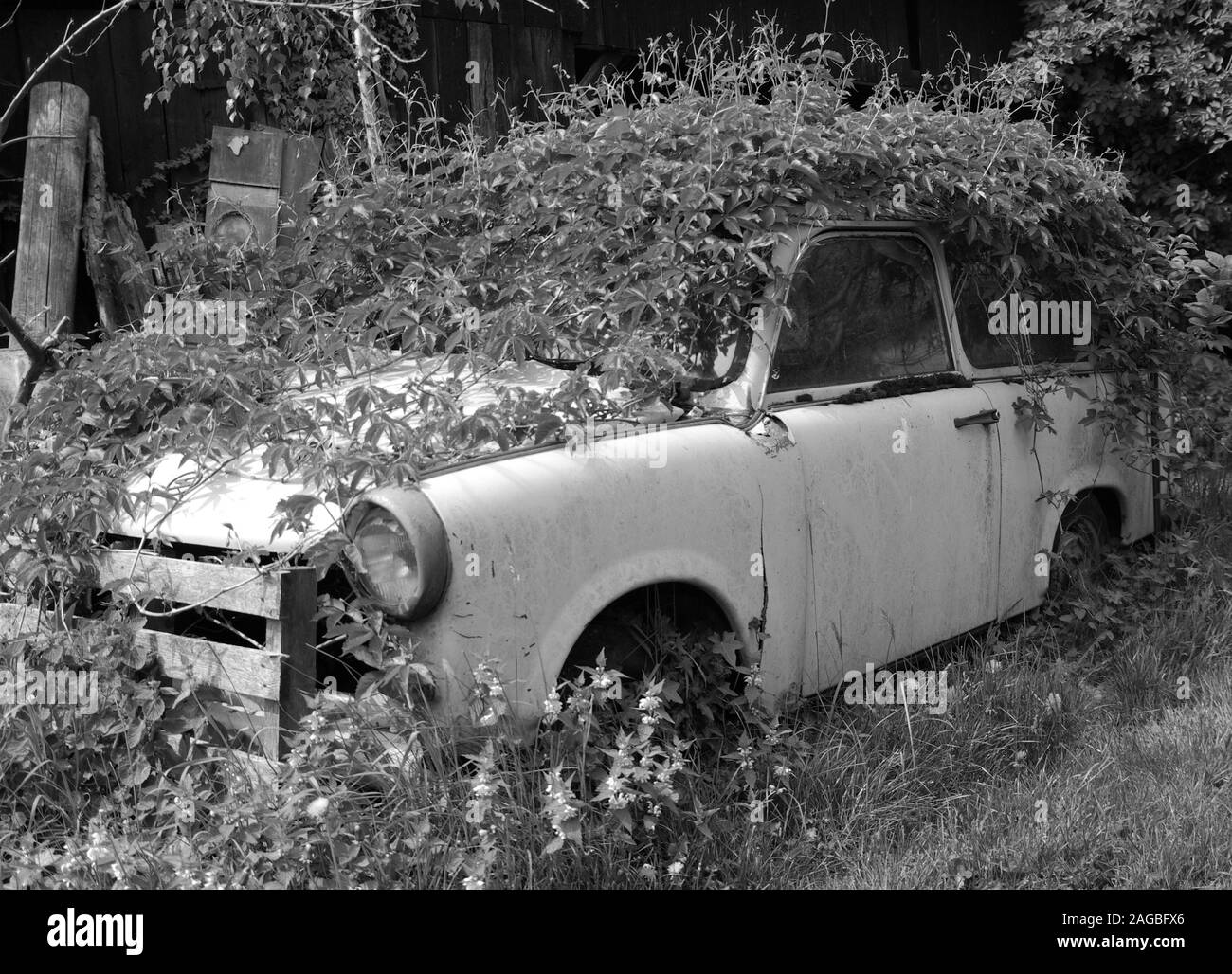 Alter Trabbi / Trabant Stock Photo - Alamy