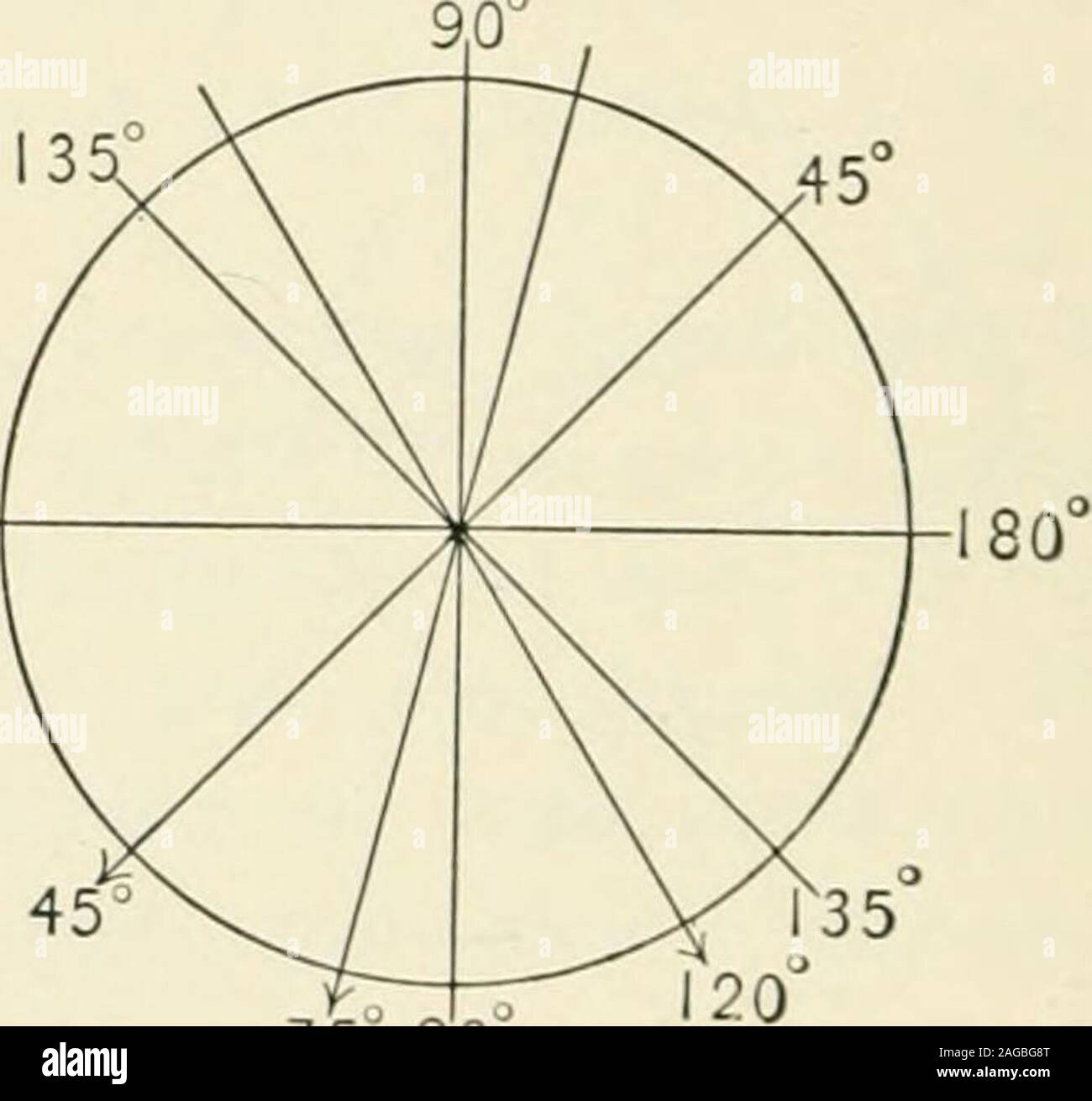 Symmetric sections hi-res stock photography and images - Alamy