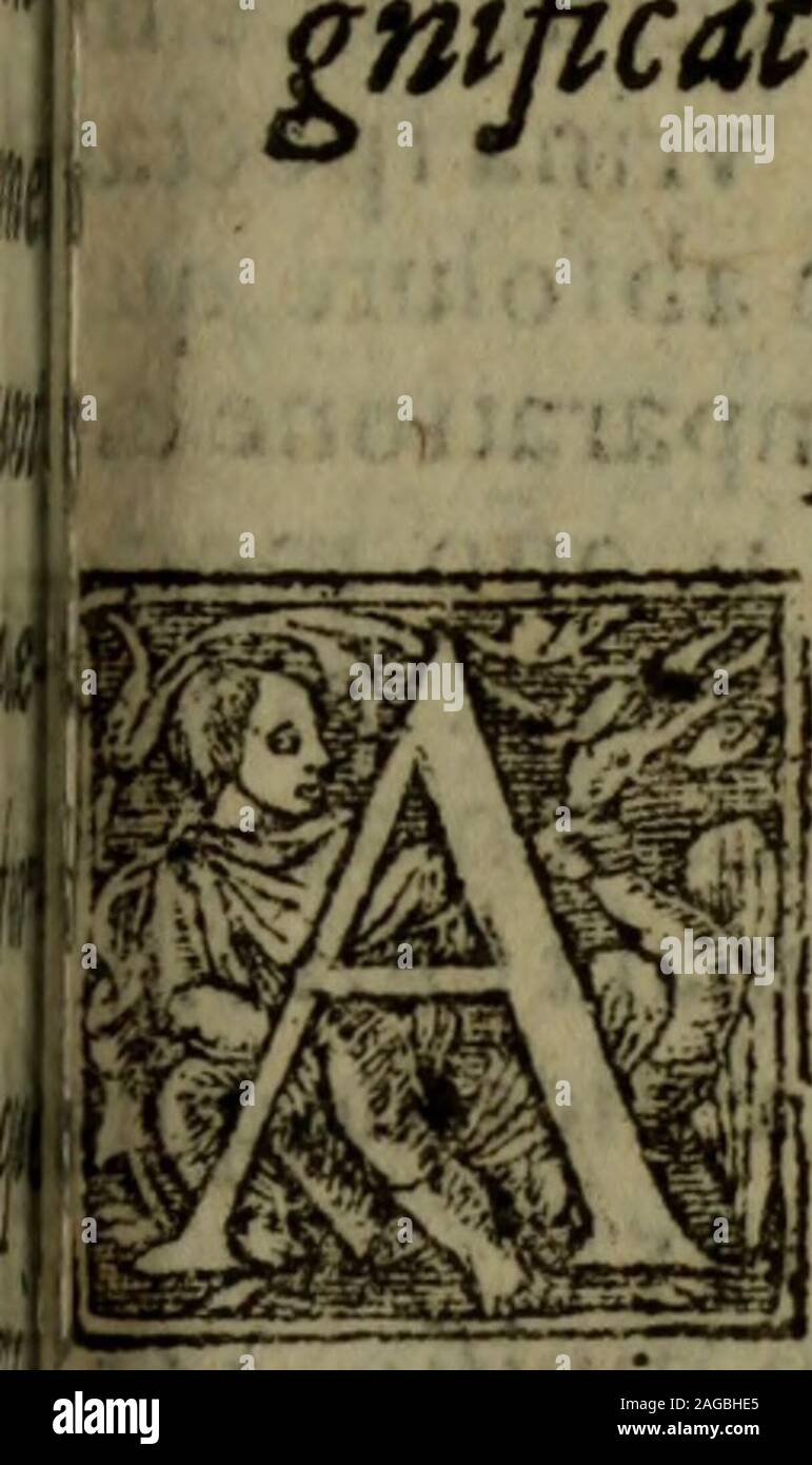 Cuio hi-res stock photography and images - Alamy