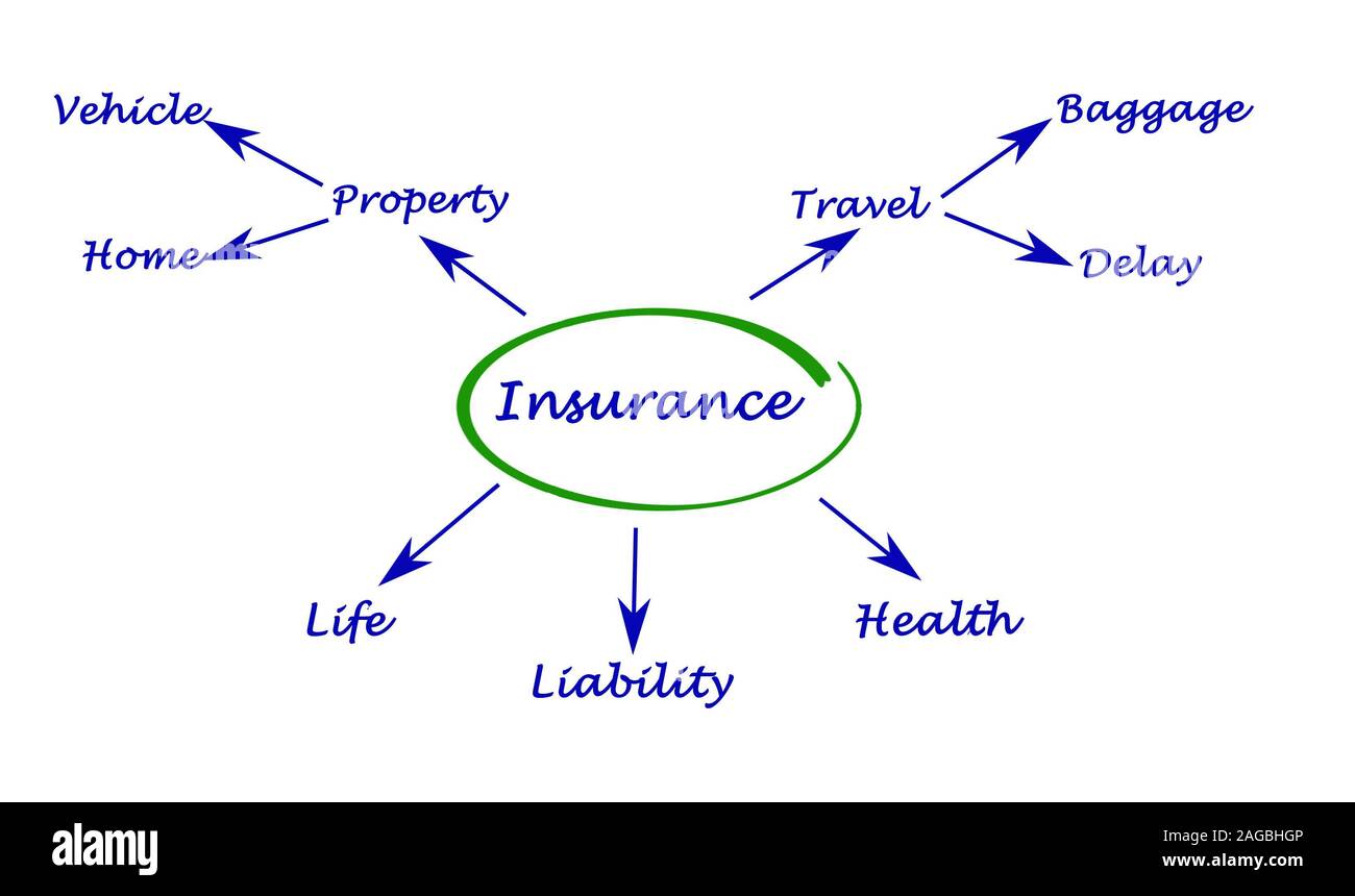 Diagram of insurance Stock Photo - Alamy