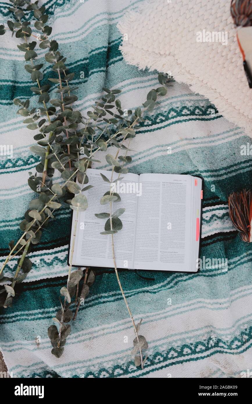 Open NIV Bible Stock Photo - Alamy