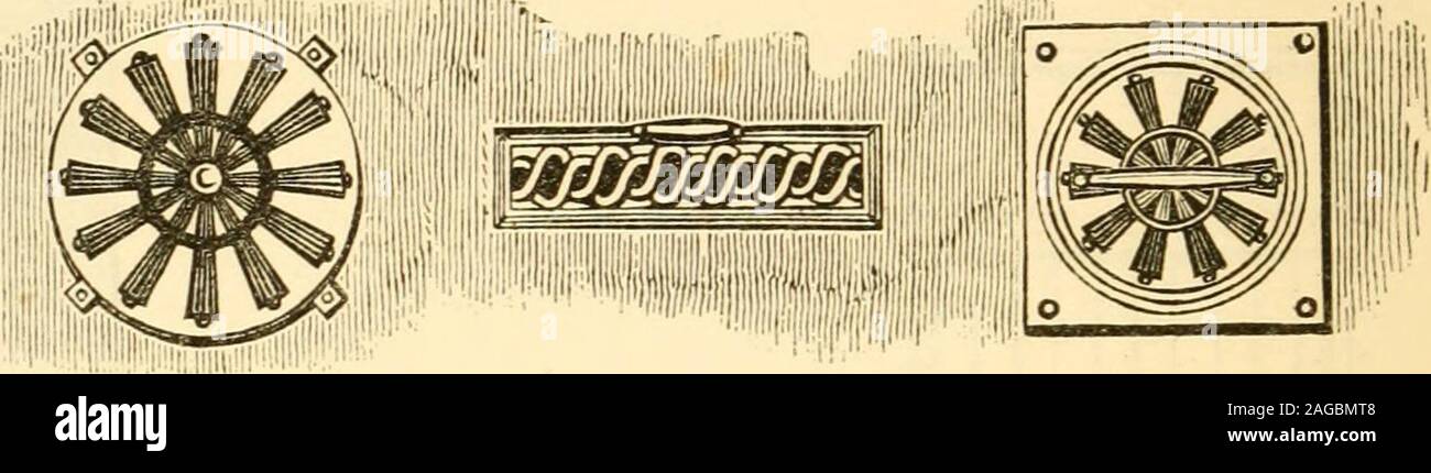 Putrefactive process hi-res stock photography and images - Alamy