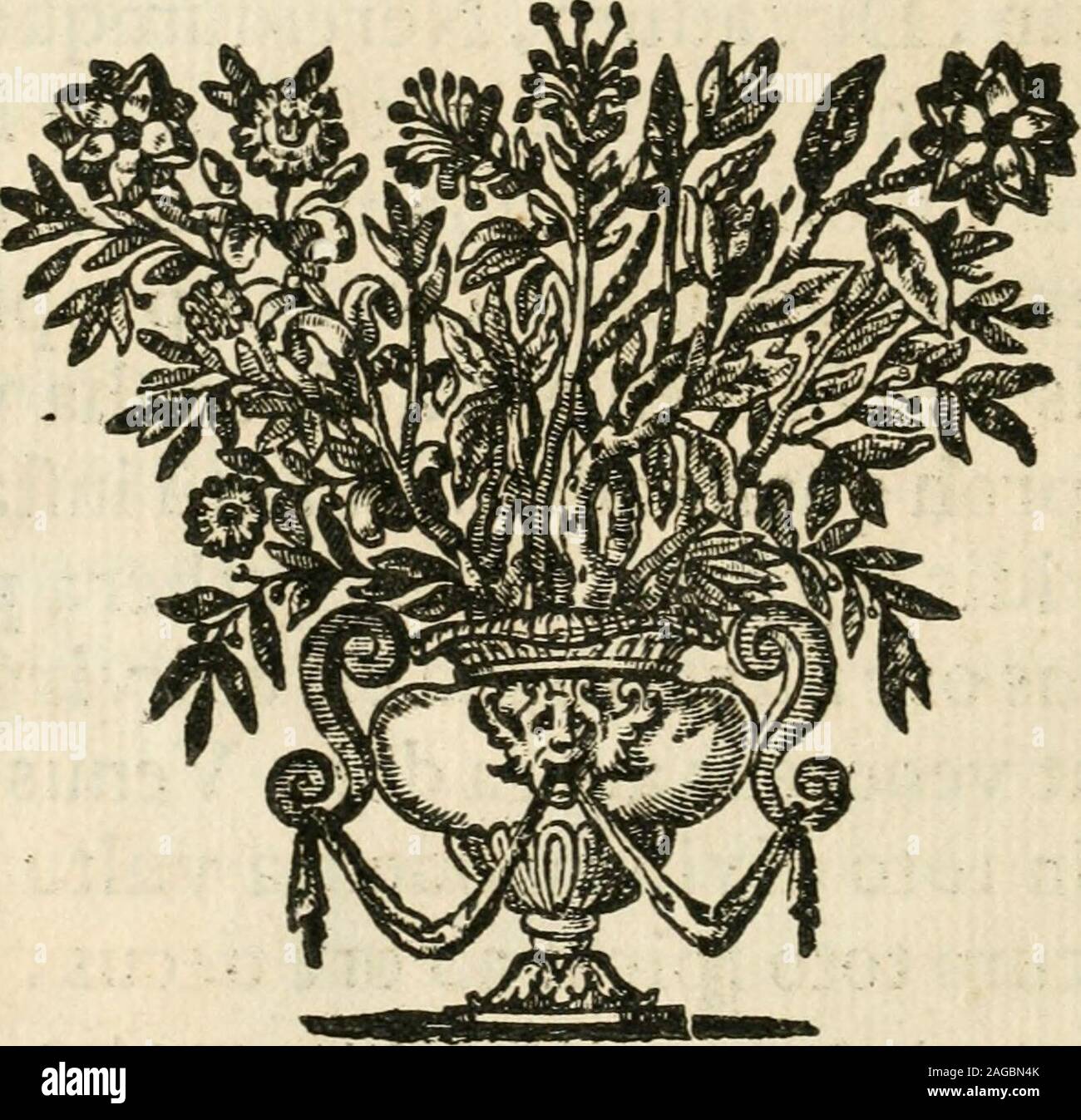 Dum venit hi-res stock photography and images - Alamy