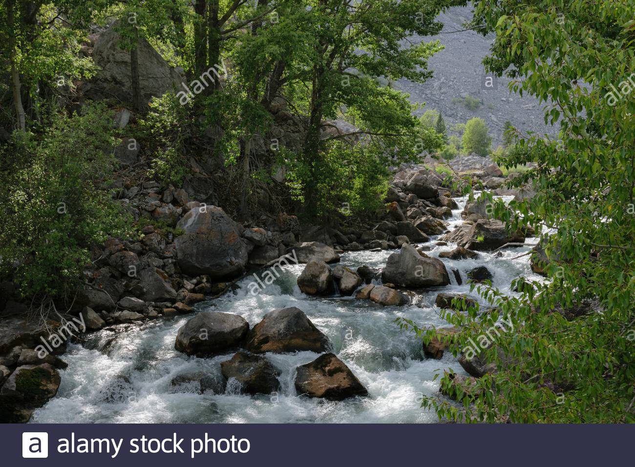 Turtle Mountain Alberta High Resolution Stock Photography and Images ...