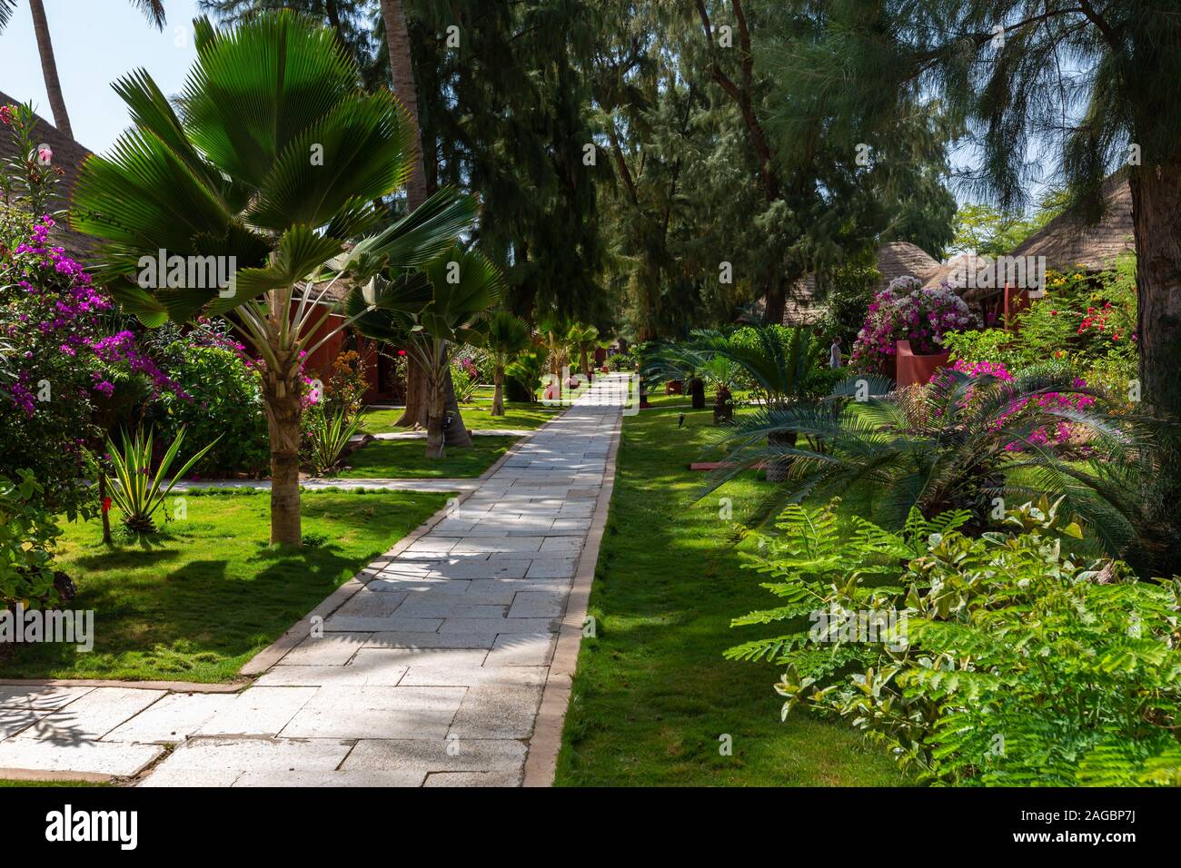 Pavement surrounded by beautiful plants and flowers and trees in ...