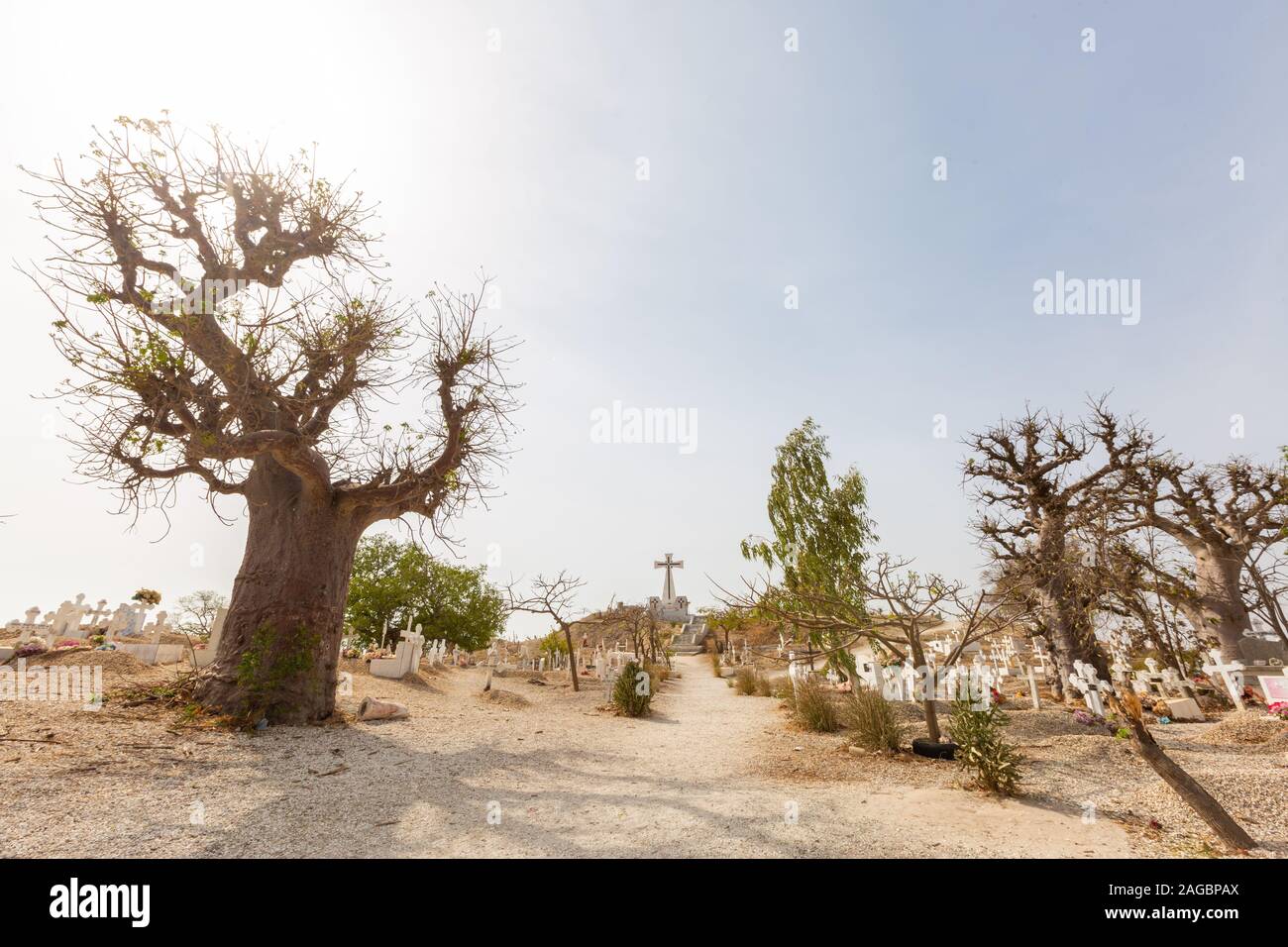 Beautiful view of the trees by a road with a cross statue in the ...