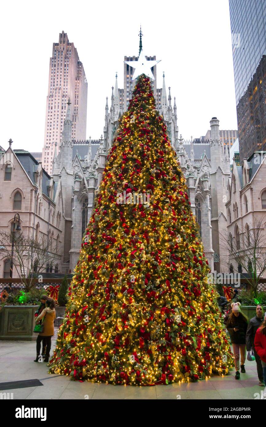 Courtyard Tree at The Lotte New York Palace Hotel with the spires of St ...
