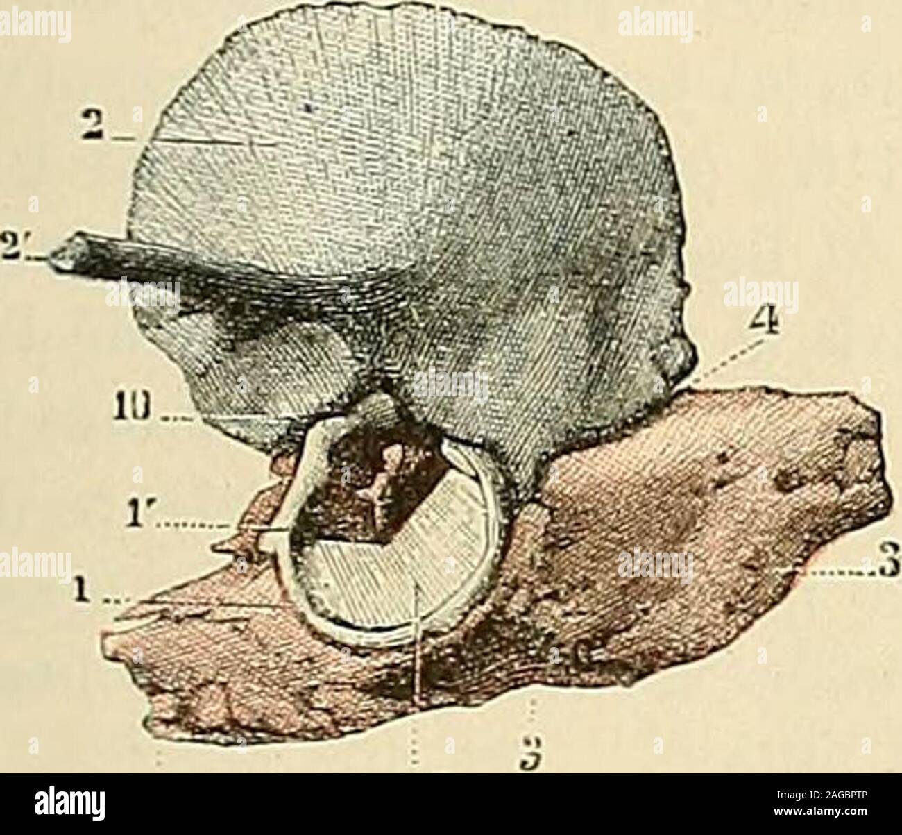 Sommet pyramide or hi-res stock photography and images - Alamy
