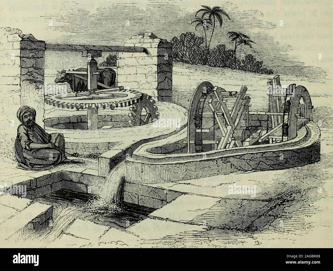 Mlbs hi-res stock photography and images - Alamy