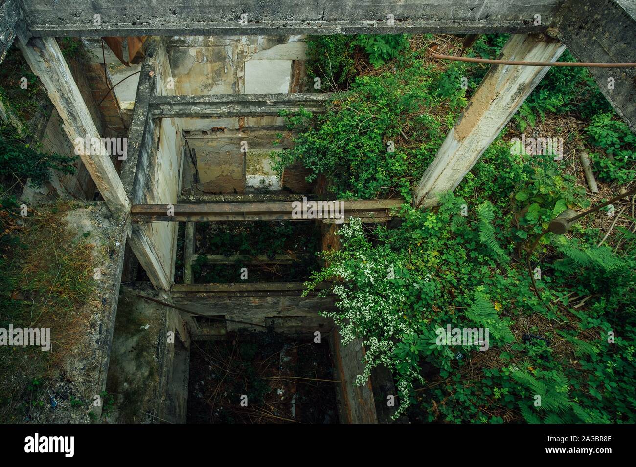 Inside ruined building overgrown by plants. Nature and abandoned ...