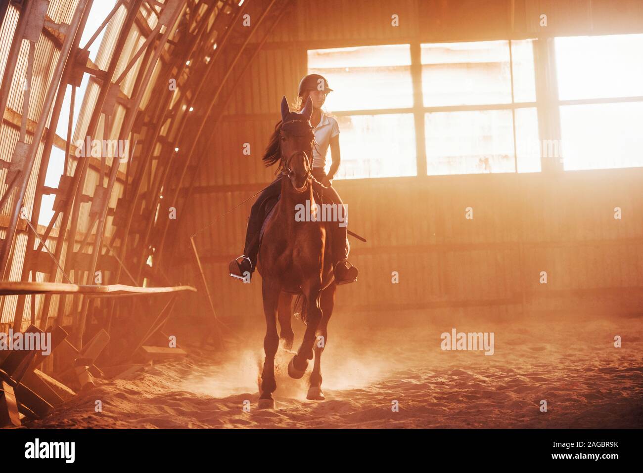 Barrel Racing Background