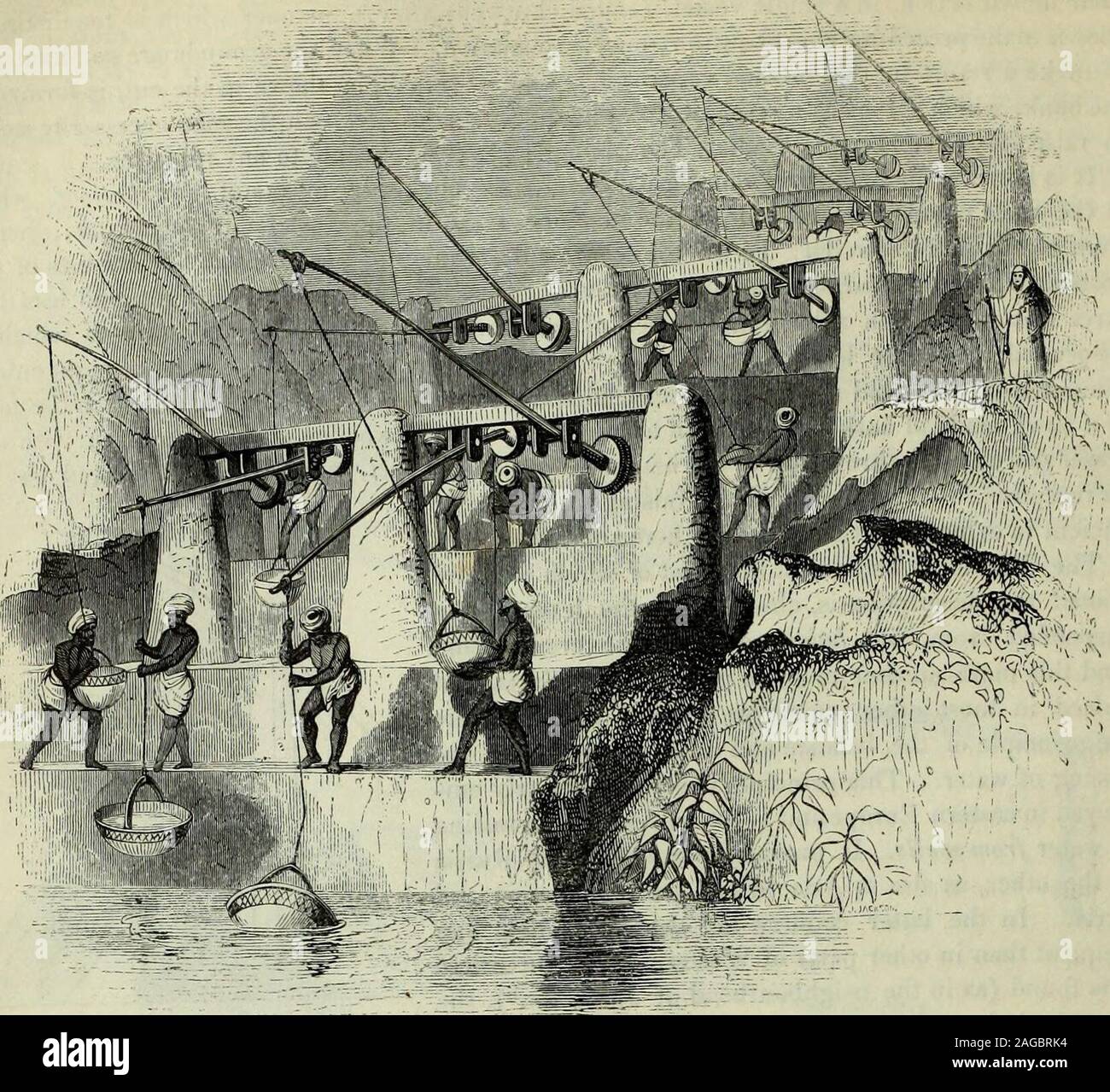 . Palestine : the physical geography and natural history of the Holy ...